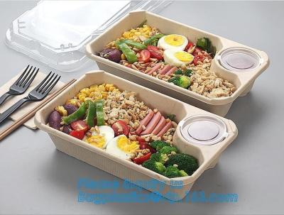 China Biodegradable Sugarcane Bagasse Food Container 7 inch 9 inch Microwave Safe Eco Friendly Disposable Plate for sale