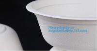 China Biodegradable Sugarcane Bagasse Bowl 7 inch 9 inch Food Grade Disposable Compostable Bowl with Lid for sale