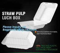 China Eco Friendly Biodegradable Corn Starch Lunch Box 3 Compartment 1000ml Disposable Food Container for sale