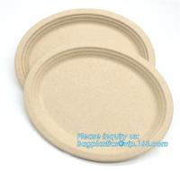 China 10 Inch Biodegradable Sugarcane Bagasse Oval Plate Eco Friendly Disposable 500 Pack for sale