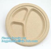 China 10 Inch Biodegradable Sugarcane Bagasse Oval Plate Eco Friendly Disposable 500 Pack for sale