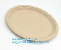 China biodegradable tableware 5 compartment sugarcane tray,100% Biodegradable Disposable Sugarcane Paper Raw Material Composta for sale