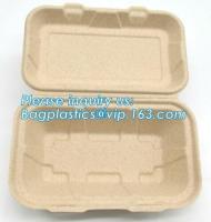 China Biodegradable 750ml Compartment Hinged Container Sugarcane Bagasse Food Takeout Box for sale