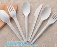China Biodegradable PLA Cutlery Set Fork Spoon Knife 145mm 158mm 190mm EN13432 Certified Disposable Eco Friendly for sale