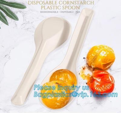 China 6 Inch Biodegradable CPLA Spoon Corn Starch Eco Friendly Disposable Cutlery 1000 Pieces Per Case for sale