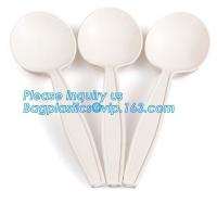 China 6 Inch Biodegradable Corn Starch PLA Spoon Compostable Disposable Cutlery 1000pcs for sale