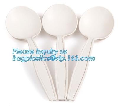 China 6 Inch Biodegradable Corn Starch PLA Spoon Compostable Disposable Cutlery 1000pcs for sale