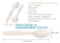 China 13 cm Length Corn Starch Bio Plastic Disposable Table Spoon,Eco-friendly Corn Starch Disposable Plastic Spoon,bagease pa for sale