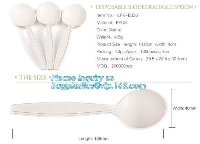 China Biodegradable Corn Starch 5 Inch Dessert Spoon Food Grade Disposable PLA Cutlery 1000 Pcs for sale