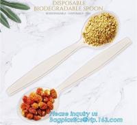 China Biodegradable Corn Starch 5 Inch Dessert Spoon Food Grade Disposable PLA Cutlery 1000 Pcs for sale