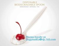 China Biodegradable Corn Starch 5 Inch Dessert Spoon Food Grade Disposable PLA Cutlery 1000 Pcs for sale