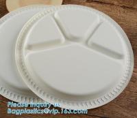 China Eco Friendly Biodegradable Sugarcane Bagasse 7 Inch Food Plate Disposable 9 Inch Pack for sale