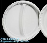 China Eco Friendly Biodegradable Sugarcane Bagasse 7 Inch Food Plate Disposable 9 Inch Pack for sale