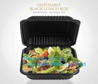 China Natural Compostable 3 Compartment Biodegradable Disposable Corn Starch Food Container,starch 4 compartment microwave foo for sale