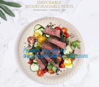 China 10 Inch Biodegradable Sugarcane Bagasse Party Plate Compostable Disposable 900ml for sale