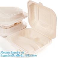 China Biodegradable Corn Starch Bento Lunch Box 900ml Takeaway Food Container with Lid Eco Friendly for sale