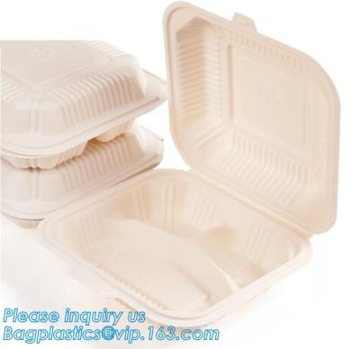 China Biodegradable Corn Starch Bento Lunch Box 900ml Takeaway Food Container with Lid Eco Friendly for sale