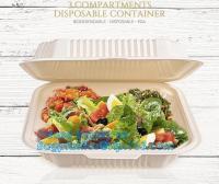 China Biodegradable Corn Starch Bento Lunch Box 900ml Takeaway Food Container with Lid Eco Friendly for sale