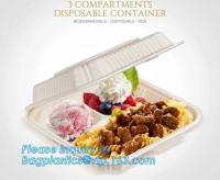 China Biodegradable Corn Starch Bento Lunch Box 900ml Takeaway Food Container with Lid Eco Friendly for sale