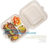 China Biodegradable Corn Starch Bento Lunch Box 900ml Takeaway Food Container with Lid Eco Friendly for sale