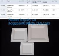 China Eco Friendly Sugarcane Bagasse 5 Compartment Display Plate with Lid 900ml Biodegradable for sale