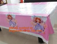 China 108x180cm Cartoon Princess Disposable Plastic Tablecloth for Birthday Party Decorations 1pc for sale