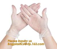 China Disposable Powder Free Vinyl Gloves PVC Medical Exam Gloves Sizes XS to XL 9 Inch for sale