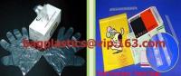 China Disposable PE Gloves Food Grade Clear HDPE LDPE CPE 8-40 Mic Thickness Sizes S M L XL for sale