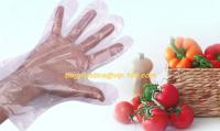China Biodegradable Compostable Disposable PE Food Handling Gloves Clear 100pcs per Box for sale