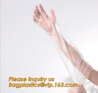 China Biodegradable PE Disposable Gloves for Cleaning Food Handling Sizes S M L for sale