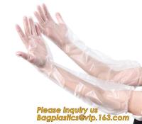 China Biodegradable PE Disposable Gloves for Cleaning Food Handling Sizes S M L for sale
