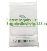 China EN13432 Compostable Mailing Bags PLA PBAT Biodegradable Courier Bags Custom Size Eco Friendly for sale