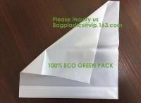 China Compostable Biodegradable Mailing Bag with Handle 30 Micron Custom Size Eco Friendly Courier Envelope for sale