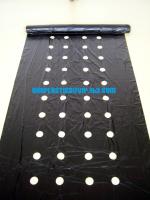 China PE Mulching Film 1m x 400m Roll 25um Thickness Agricultural Ground Cover for Weed Control for sale