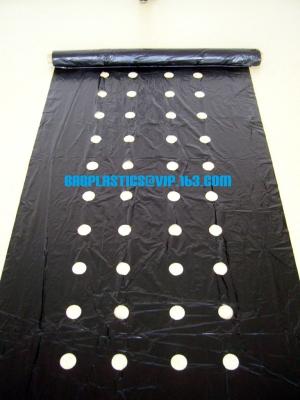 China PE Mulching Film 1m x 400m Roll 25um Thickness Agricultural Ground Cover for Weed Control for sale