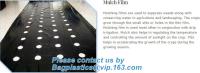 China LDPE Agricultural Mulch Film Black Silver 1m Width 30um Thickness Weed Control Ground Cover for sale