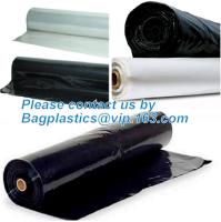 China LDPE Agricultural Mulch Film Black Silver 1m Width 30um Thickness Weed Control Ground Cover for sale