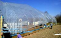 China PE Pre-stretch Perforated UV Resistant Agriculture Mulch Film 1m x 400m for sale