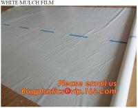 China Jumbo Roll Black Silver Agricultural Mulch Film 1m Width 25um Thickness for Weed Control for sale