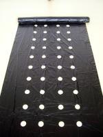 China LDPE Agricultural Mulch Film with Holes 1.5-6 Mil for Horticulture Garden Ground Cover for sale