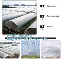 China 200 Micron UV Resistant Greenhouse Film Perforated Mulch Agricultural PE Plastic for Vegetables for sale