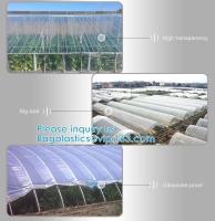China 200 Micron UV Resistant Greenhouse Film Perforated Mulch Agricultural PE Plastic for Vegetables for sale
