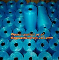 China Biodegradable Dog Poop Bags 31x11.6cm 12 Micron Pet Waste Clean Up Bags LDPE for sale