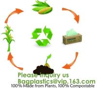China Home Compostable PLA Food Storage Bags 12x17cm 50mic Bioplastic Resealable Bags for sale