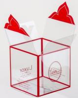 China Clear PET PP Window Box Special Creasing Plastic Packaging Box 8.8x2x15.5cm for sale
