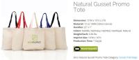 China Custom Logo Blank Canvas Tote Shopping Bag 35x40x15cm with Leather Handle 227gsm for sale