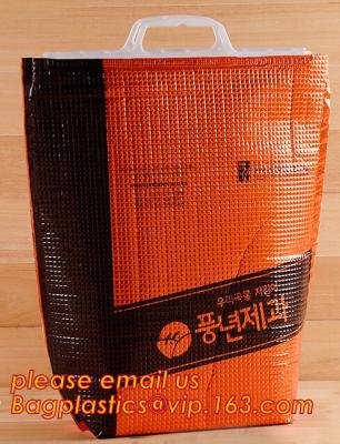 China Custom Eco Friendly Thermal Insulation Lunch Bag with Ziplock for Kids 10L for sale