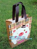 China Insulated Cooler Bag 80gsm Non Woven Polypropylene Canvas Medical Storage Bag Wholesale for sale