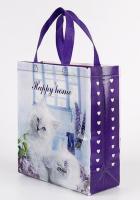 China Custom Laminated PP Non Woven Shopping Tote Bag 80gsm Wholesale Promotional for sale