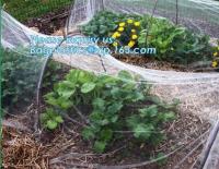 China PP Nonwoven Fabric Agriculture Cover Plant Protection Fruit Bags 50gsm UV Resistant for sale